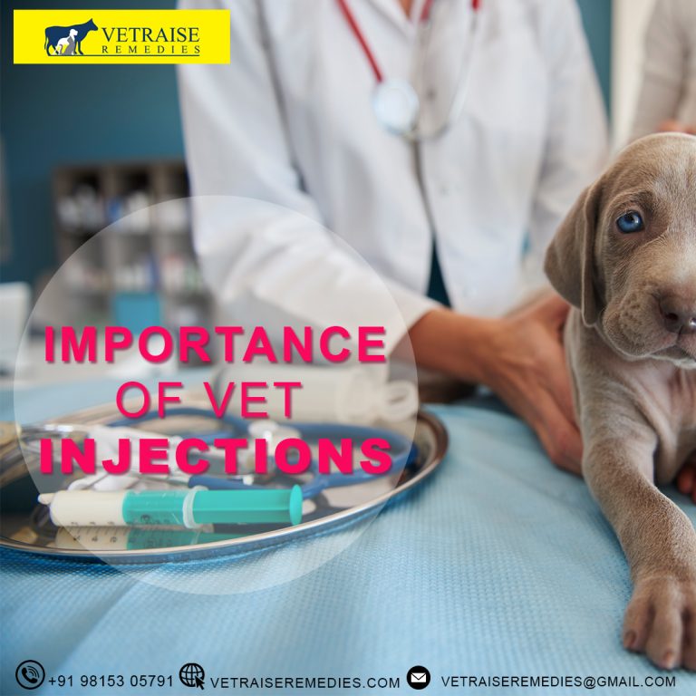 Importance of Vet Injections | Vetraise Remedies | Vet PCD Franchise