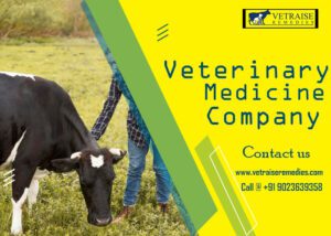Veterinary Medicine Company | Veterinary Medicine Franchise