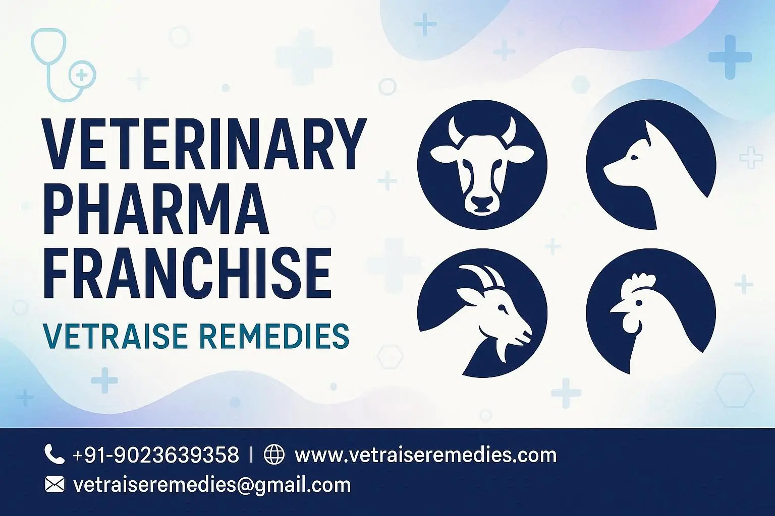 Veterinary Pharma Franchise in India - Vetraise Remedies
