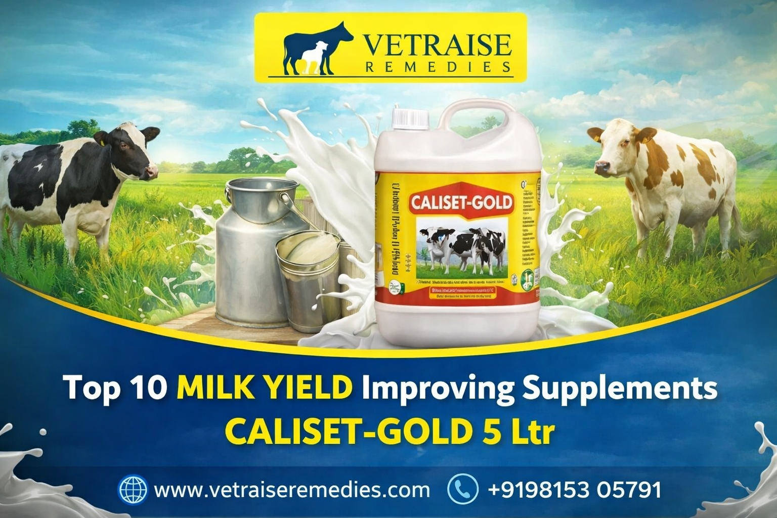 Top 10 Milk Yield Improving Supplements in India | Caliset-Gold